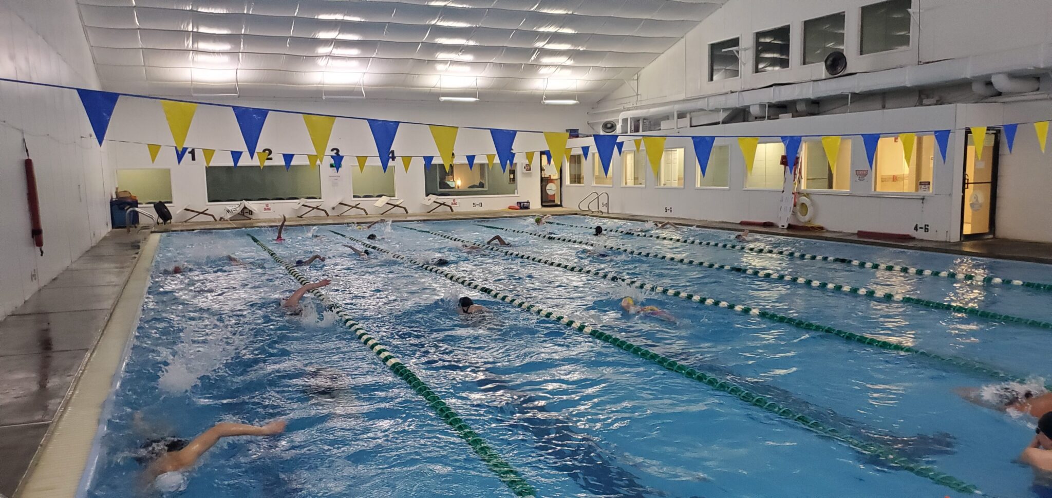 Winter Dolphin Swim Team - WestFit Clubs