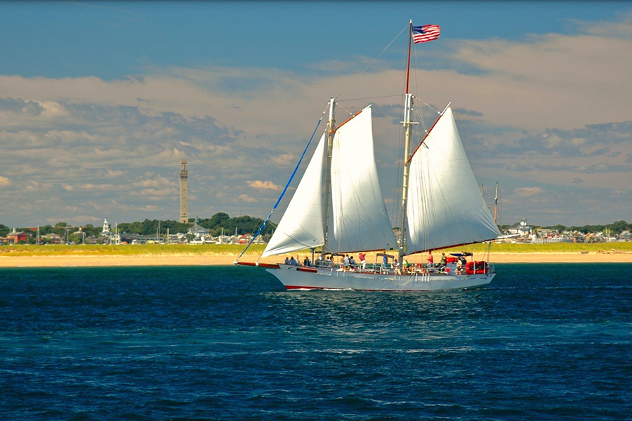 Tour Provincetown's Dunes, National Seashore Park - Art's Dune Tours