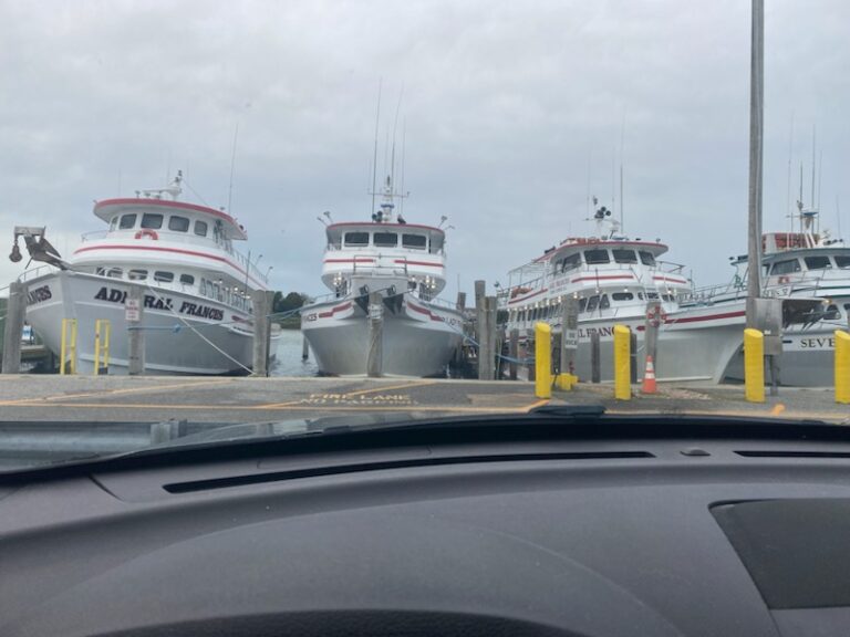 Fishing Reports Archives - Frances Fleet