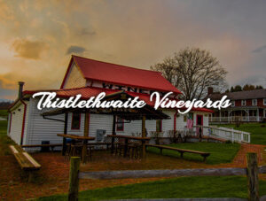 Thistlethwaite Winery - Herron Entertainment